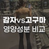 감자 Vs 고구마 칼로리 비교 다이어트 식단에 더 좋은 것은 네이버 블로그